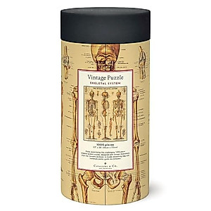 Cavallini Papers & Co. Skeletal System 1,000 Piece Puzzle, Multi