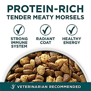 Purina ONE Plus Large Breed Puppy Food Dry Formula - 31.1 lb. Bag