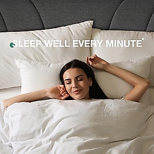 Novilla Queen Size Bed Frame Upholstered Platform Queen Bed Frame with Adjustable Headboard, Strong Weight Capacity, No Box Spring Needed, Easy Assembly, Grey