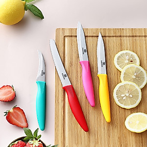 KL KALOO Paring Knife, Set of 4 Paring Knives Set With 2-Piece 4-inch Straight & Serrated Paring Knives, 3.5-inch Peeling Knife & 4.5-inch Utility Paring Knife (Green, Red, Pink and Yellow)