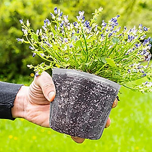 ELCOHO 30 Pack Plants Nursery Pot Soft Clear Plastic Planter 6.7/6/5/4/3 Inch Seed Starting Pots Flower Plant Pots with Drainage Hole Plant Container with 30 Labels for Seedlings Succulent Vegetable