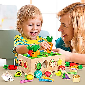 BAYSING Montessori Toys for 2,3,4 Year Old Baby Boys and Girls, Carrots Harvest Game, Wooden Shape Sorting Toys Gifts for Toddlers, Kids Age 1-3, Wood Preschool Learning Fine Motor Skills Game