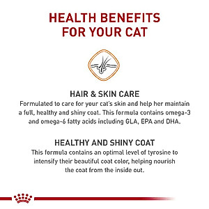 Royal Canin Hair & Skin Care Dry Cat Food, 6 lbs.