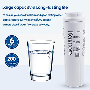 Water Filter Compatible with Kenmore 9084 9006 46-9006 Filter 4 Water Filter Replacement, 2-Pack