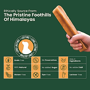 KATHMANDU'S Authentic Yak Cheese Himalayan Dog Chews - All Natural and Protein-Rich Nutrition Dog Treats, Long Lasting Chews for Aggressive Chewers, Odor & Gluten Free Yak Chew | Large (Pack of 2)