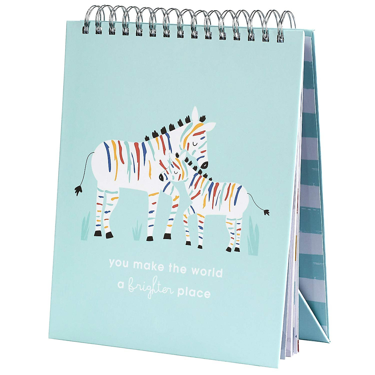 C.R. Gibson ''You Make The World a Brighter Place'' Rainbow Zebra Baby Milestone Cards Photo Prop Flipbook, 8.5'' x 10.5''