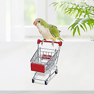 Wontee Bird Toys Mini Shopping Cart Skateboard Ring Toy for Playing and Training of Budgies Cockatiels Caique Quaker Parrot Conures (3 Pack)