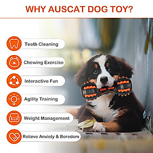 AUSCAT 2Pcs Dog Squeaky Chew Toys, Indestructible Dog Toy for Aggressive Chewers, Dumbbell Shape, Interactive Dog Toys for Large Medium Dogs, Rubber, Blue and Black