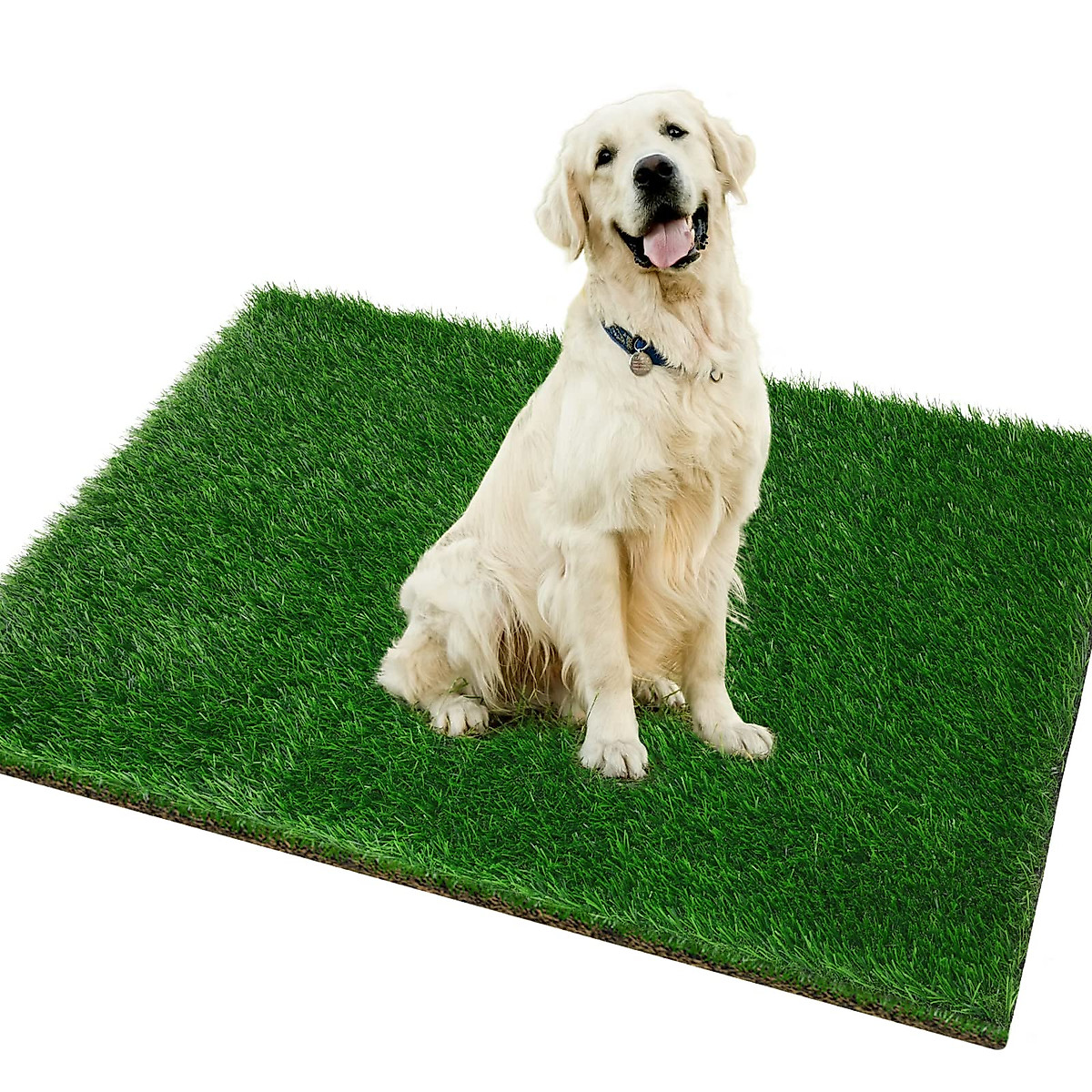 Grass Pad for Dogs 51.2 x 31.5 inches, Strong Absorbency Soft Artificial Grass for Pets Potty Training, Easy to Clean Fake Grass for Dog Indoor Outdoor Use (1 Pack)