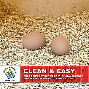 Cackle Hatchery Nest Box Accessory Kit (Standard) - Nest Box Pads, Nesting Herbs, Ceramic Nest Eggs, & Egg Cartons