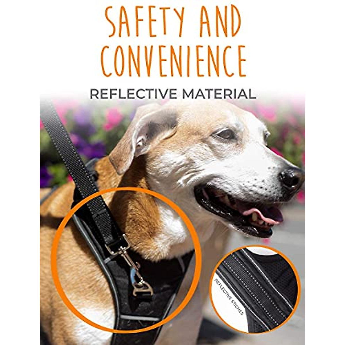 Mighty Paw Sport Harness, No-Pull Front Attachment Dog Harness, Neoprene Padded Lining, Reflective Stitching, 2 Leash Attachment Options (Medium, Black)