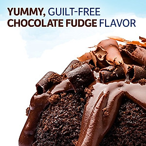 Garden of Life High Protein Bars for Weight Loss - Organic Fit Bar, Chocolate Fudge (12 per carton) - Burn Fat, Satisfy Hunger and Fight Cravings, Low Sugar Plant Protein Bar with Fiber