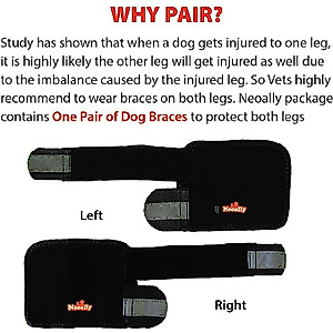 NeoAlly - Front Leg Brace for Dogs and Cats, Dog Leg Brace for Improved Pet Mobility, Dog Leg Sleeve for Carpal Support, Dog Leg Sleeve with Reflective Straps, XXS to XS, Black, 1 Pair