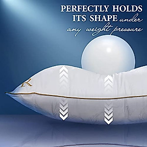 Royal Therapy King-Size Professional Hotel Pillows (2-Pack) - A Set of Premium Plush Gel Microfiber Down Alternative Hypoallergenic Bed Pillows for Your Bedroom - Side, Stomach & Back Sleepers