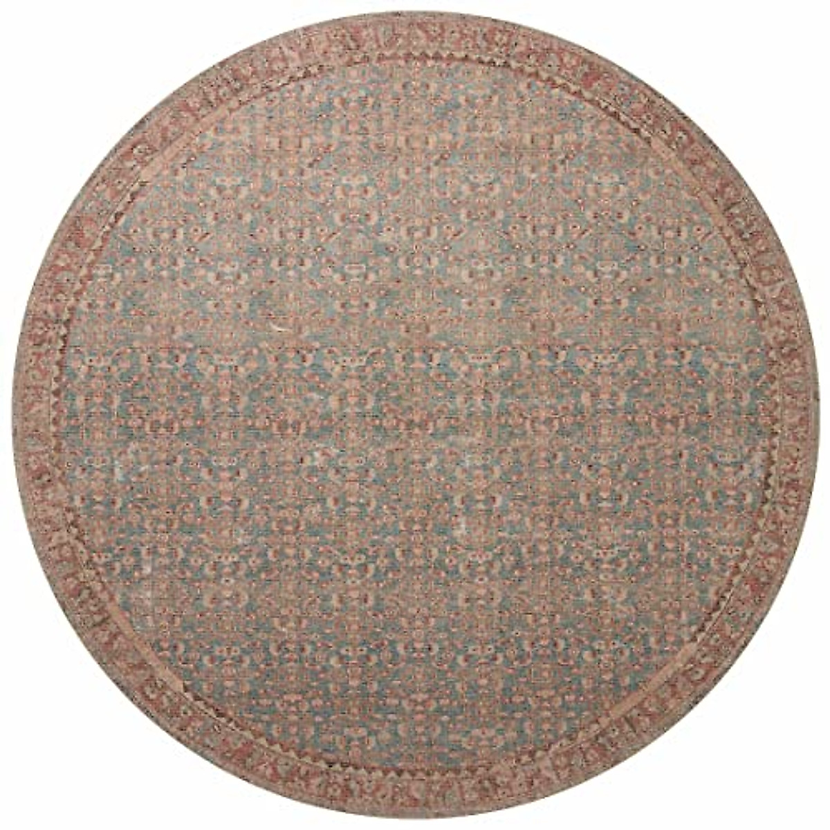 Loloi Angela Rose x Aubrey Blue/Terracotta 5'-0" x 7'-0" Area Rug