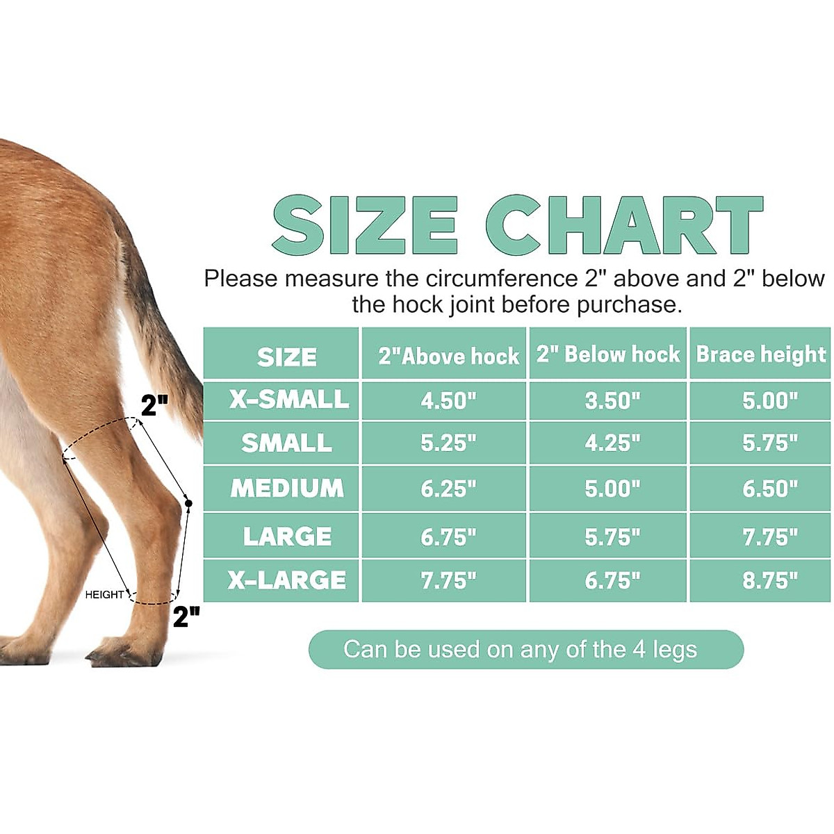 Lyderpet Dog Leg Brace for Hind Hock Joint, Rear Ankle Compression Wrap with Metal Strips Strong Support for Torn ACL & CCL, Prevents from Injury and Sprain, Helps with Wounds Care and Arthritis (S)