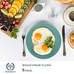 Flat Dinner Plates Set of 8 Alternative for Plastic Plates Microwave and Dishwasher Safe Wheat Straw Plates for Kitchen Unbreakable Kids Plates with 4 Colors (Multi,10 inch)