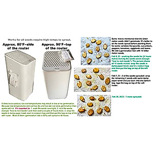 Asian Bitter Gourd Seeds for Planting Vegetables and Fruits(苦瓜).Vegetable Seeds at Home Vegetable Garden & Hydroponics Seed Pods-Bitter Melon Seeds for Planting-10 Tai Guo Bitter Melon Plant Seeds