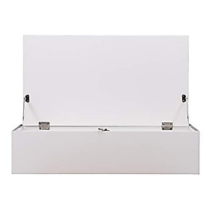 SEI Furniture Willingham Wall Mount Folding Desk, White