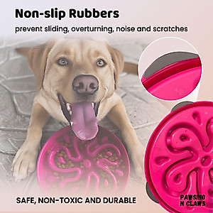 Pawsing N Claws Slow Feeder Dog Bowl - Anti-Choking & Non Slip Interactive Dog Feeding Bowls for Dry/Wet Food That Slow Down Eating Dog Bowl - Maze Puzzle Design Bowl - Large (Purple)