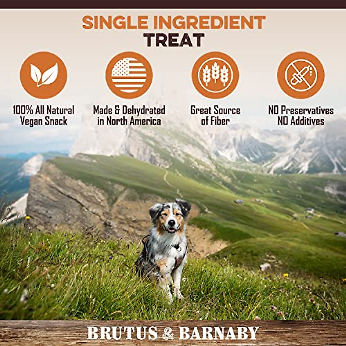 BRUTUS & BARNABY Thick Cut Sweet Potato Dog Treat Full Slices - Single Ingredient Dried Sweet Potato Dog Treats - Vegan Low Fat All Natural Dog Treats - Healthy Dog Treats with No Added Preservatives