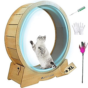 Lokshun Cat Wheel,Cat Exercise Wheel with Lock Pin,Great Weight-Loss Cat Wheel with Carpeted Runway,Large-Sized Cat Exercise Wheel with Noiseless Rollers,42in Large,Cat Teaser Stick Included