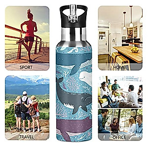 xigua Whale Water Bottle with Straw Lid Vacuum Insulated Stainless Steel Thermo Flask for Sports Cycling Hiking School Home,20 oz.