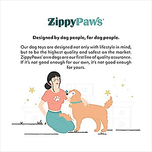 Birthday Cake Plush Toy with Squeaker for Dogs by Zippy Paws (Pink)