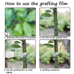 Liaogo Grafting Tape Grafting Film for Plants, 2 Pack Stretchable Garden Grafting Tape Plants Repair Budding Tapes for Floral Fruit Tree and Poly Budding Tape