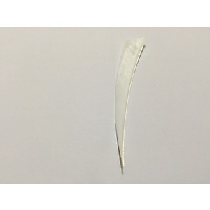 JIEXI HWYP Archery Fletches 5" Turkey Feather Shielded Shape Pack of 100 (White, Left Wing)