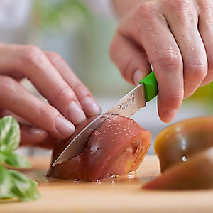 Opinel Les Essentials+ No. 313 Serrated Paring Knife, Corrosion Resistant + Dishwasher Safe, Made in France, Blue