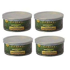 Fluker's Gourmet Style Canned Grasshoppers 1.2 oz - Pack of 4