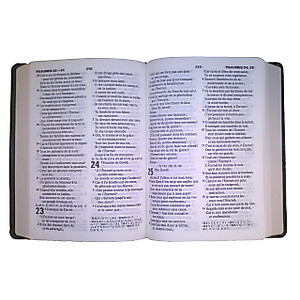 French Bible Large Print