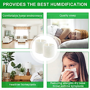 TOMOON MAF2 Super Wick Humidifier Filter Replacement -Compatible with Essick Air AIRCare MA0800 MA0600 MA060 MA08000 and 1540817006 29706 29988 Series Humidifiers,2 Pack