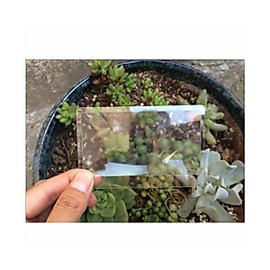 FUCAS Lot of 12 Credit Card Sized Magnifying Lenses. Wholesale Lot - 300% Fresnel Magnifier