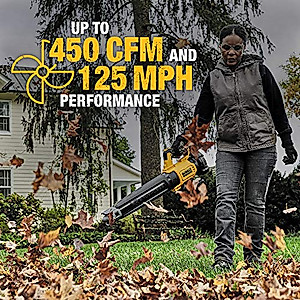 DEWALT 20V MAX* XR Leaf Blower, Cordless, Handheld, 125-MPH, 450-CFM, Tool Only (DCBL722B)