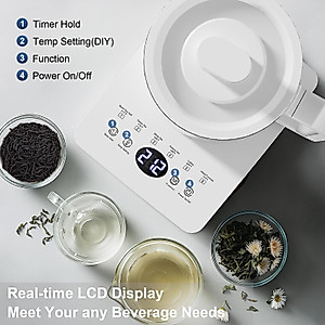 Electric Tea Kettle, 1.5 L Glass Electric Kettle with Tea Infuser, Temperature Control, Electric Tea Pot, Tea Maker, Automatic Shut Off, 24 H Keep Warm, for Tea, Coffee and Boiling Water, White