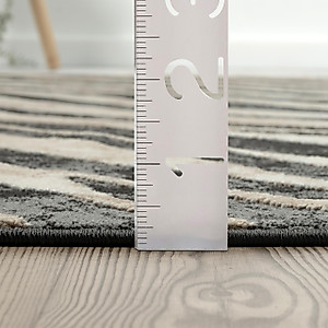 Abani Terra Area Rug for Living Room, Bedroom - Zebra Pattern - Black Cream - 8' x 10' - Durable & Easy to Clean