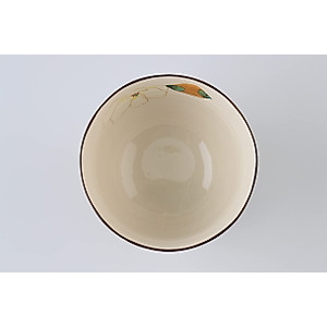 Mino Ware Japanese Tea Cups, Set of 2, 200 ml, Green Tea, Matcha Tea Cup, Pottery Tea Cups, Japanese Gifts