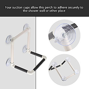 Tnfeeon Portable Birds Shower Perch, Parrots Stand with Suction Cups Window Shower Bath Wall Standing Toy for Medium and Small Parrots Birds