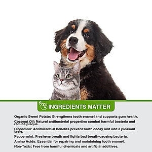 Pure and Natural Pet Organic Dental Solutions USDA Certified Organic Large Kit (.8 oz Canine Tooth Gel with Eco-Friendly Bamboo Toothbrush).