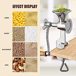 CGOLDENWALL 700g Electric Grain Grinder with Hand Crank Grinder