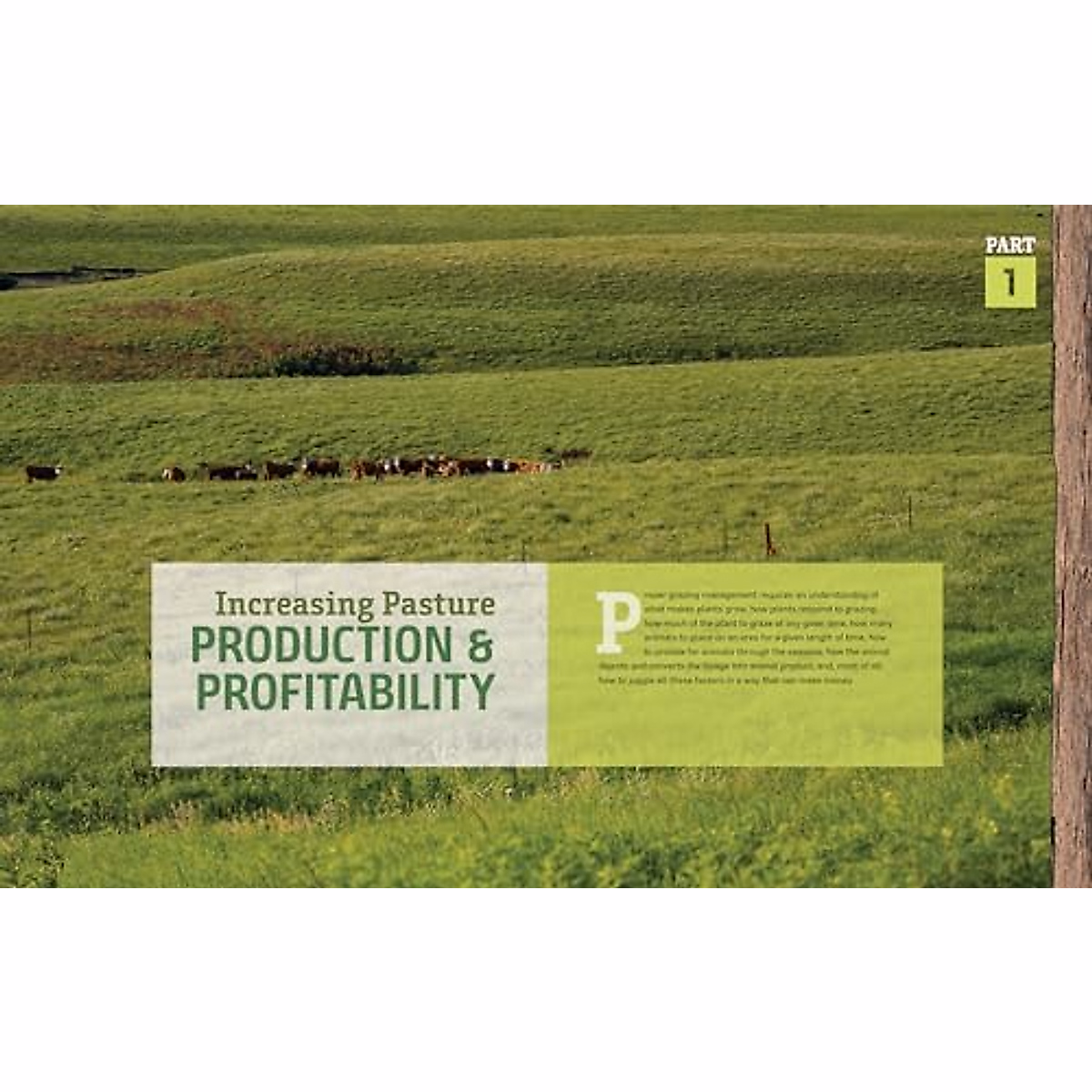Managing Pasture: A Complete Guide to Building Healthy Pasture for Grass-Based Meat & Dairy Animals