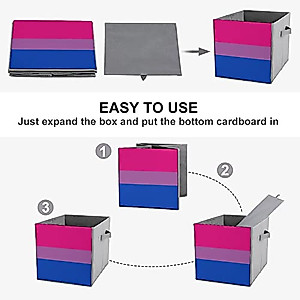 Bisexual Pride LGBT Flag Collapsible Storage Bins Basics Folding Fabric Storage Cubes Organizer Boxes with Handles