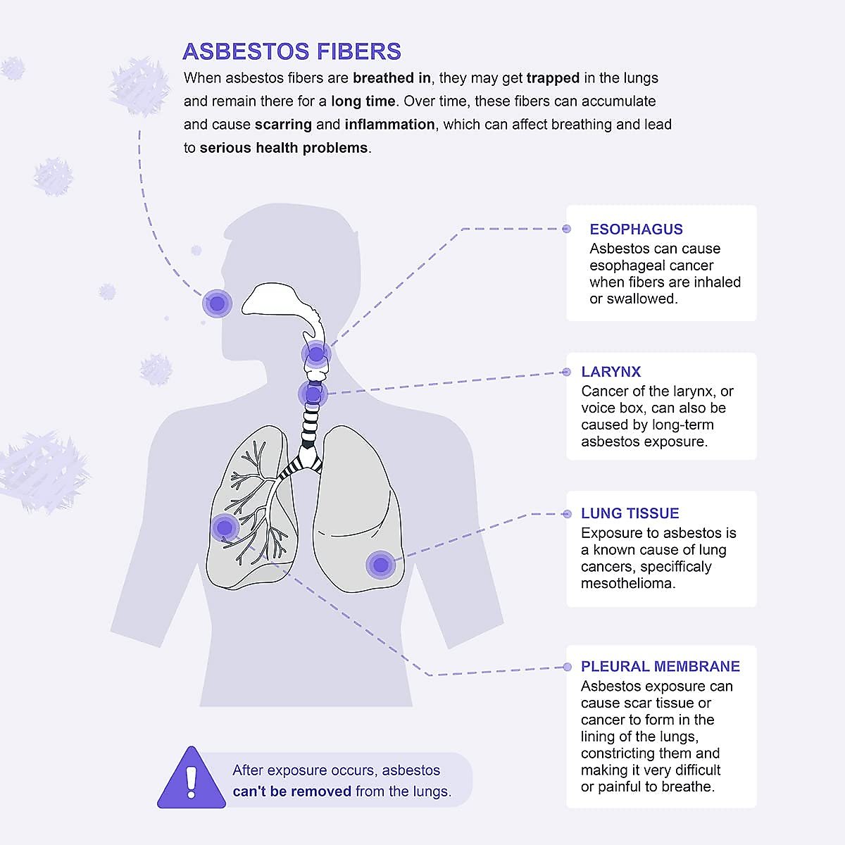 Asbestos Test Kit - Includes Asbestos Test Kit Lab Analysis, Pre-Paid Return Mailer, Fast Emailed Asbestos Test Results in 1 Week (5 Business Days) and Expert Asbestos Test Kit Consultation