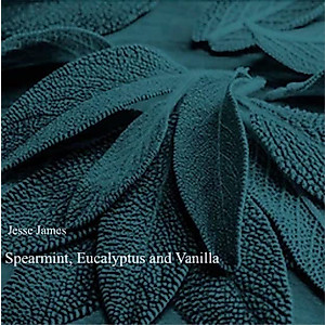 Barbudo Beard Products Beard Oil (Jesse James: Spearmint, Eucalyptus and Vanilla)