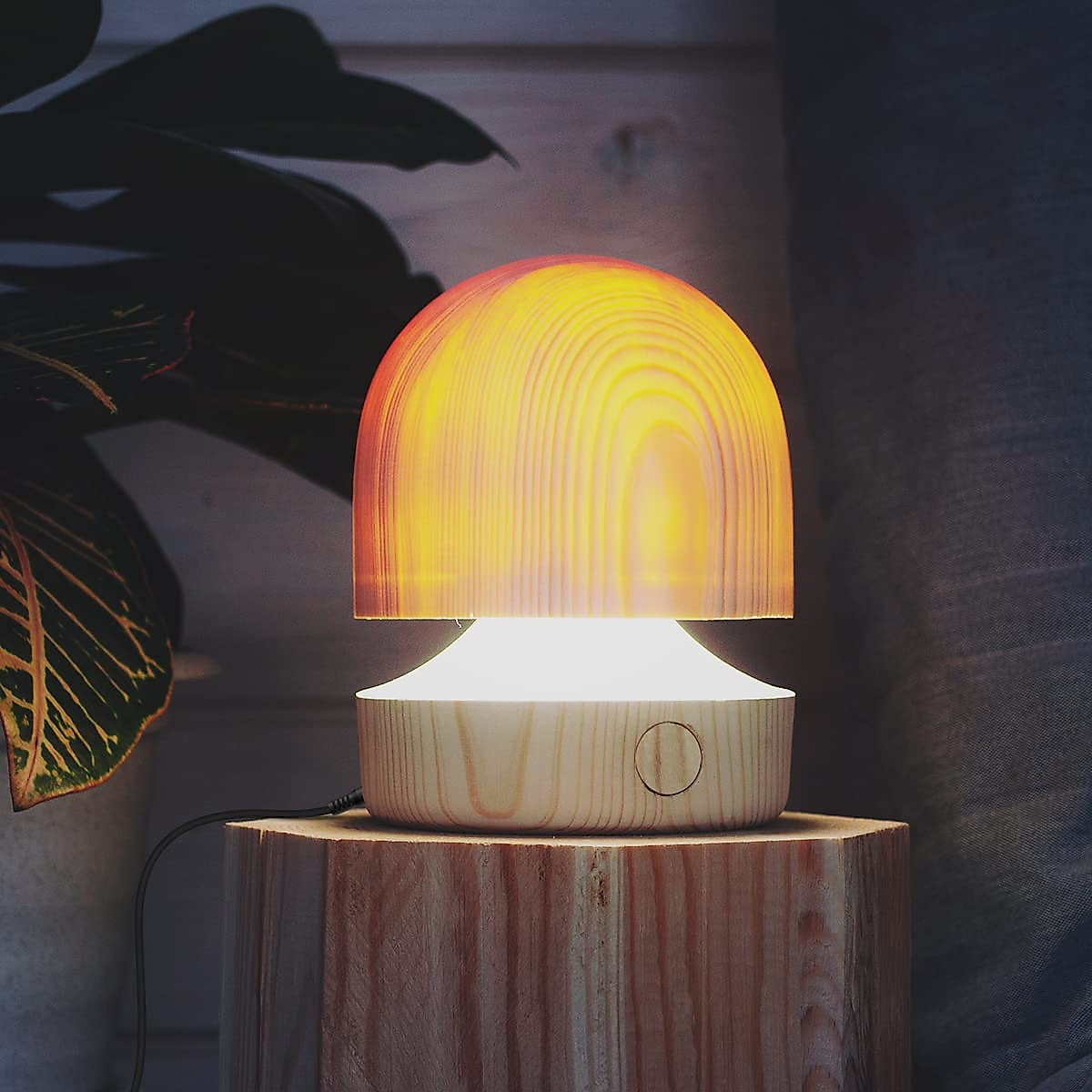 Lenink Adjustable AC Power Supply Adapter, Battery Repacement Kit for AA Battery, Replace 2 AA 3 AA 4 AA 6 AA 8 AA (Black, 1.8m/5.9ft)