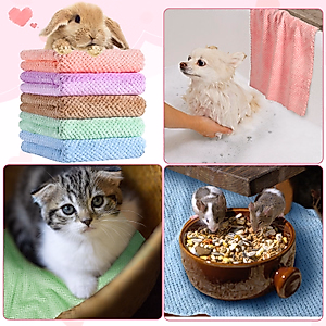 Reginary 10 Pcs Guinea Pigs Blankets Hamster Fleece Cage Liners Coral Fleece Quick Dry Soft Blankets Bedding Guinea Pig Accessories for Cat(18 x 24 Inch,Colorful)