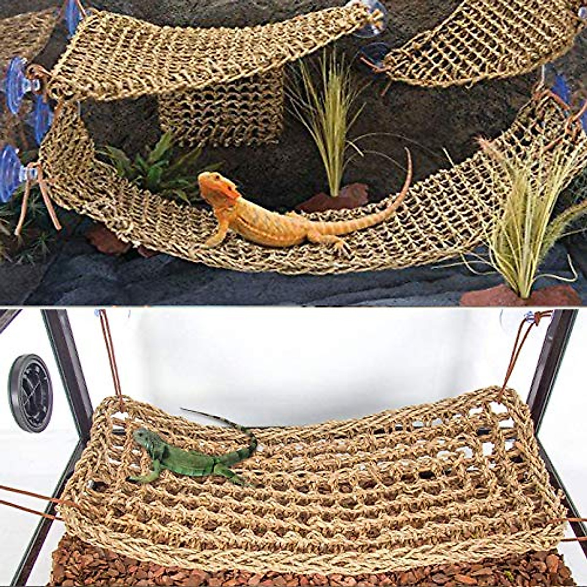 PINVNBY Bearded Dragon Tank Accessories,Reptiles Resin Human Skull Habitat Decor,Lizard Hammock Coconut Shell Hut Hideouts Cave Jungle Climber Vines Leaves Decorations for Chameleon Snake Spider Gecko