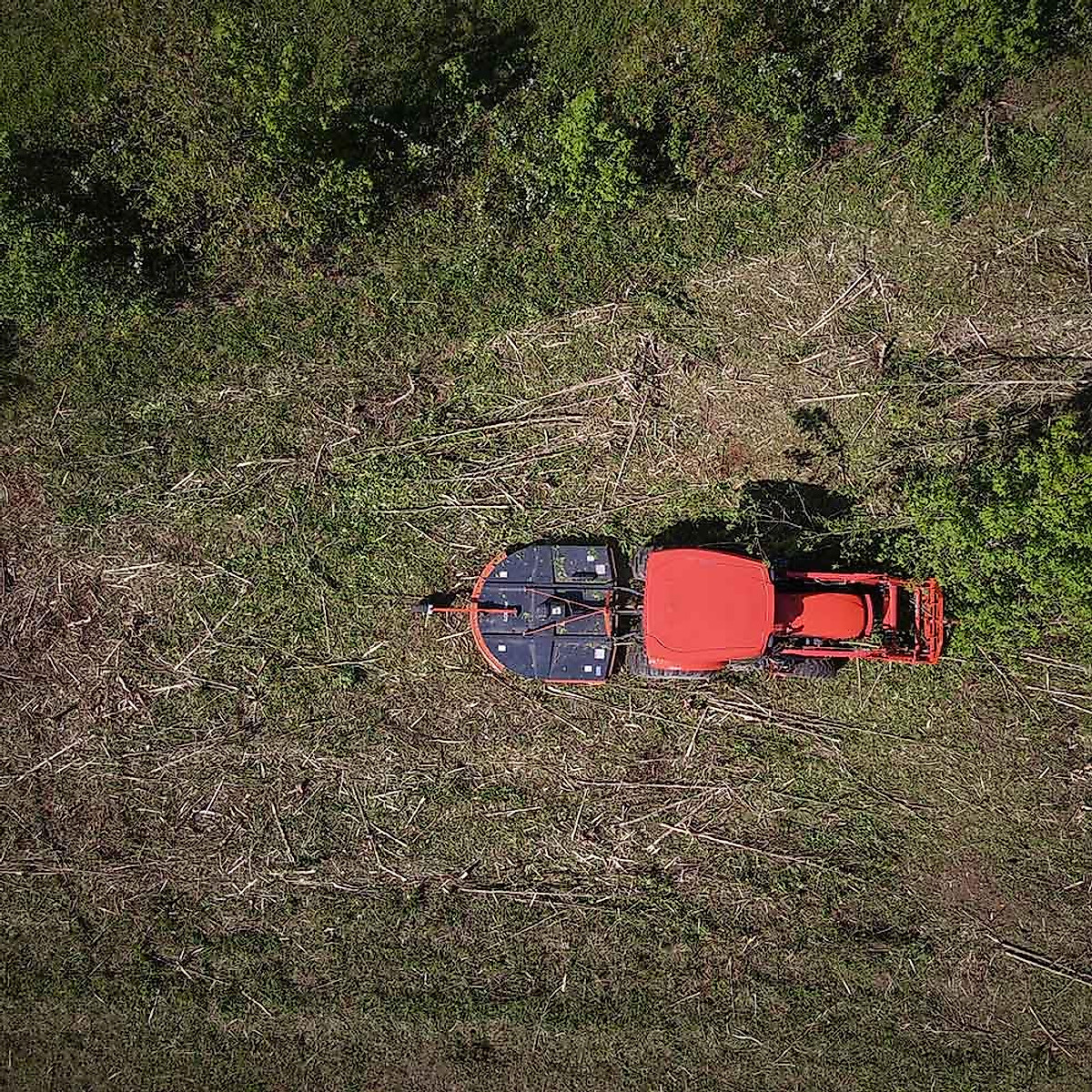 Titan Attachments 5 FT PRO Series Rotary Cutter, for Cat 1 Tractors with Rear 3 Point Hitch, Cast Iron Gear Box with Slip Clutch PTO Shaft, Brush Cutter Attachment, Mulches with Rear Discharge